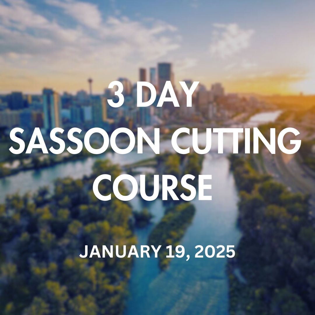 3 Day Sassoon Cutting Course - Calgary | Sassoon Salon
